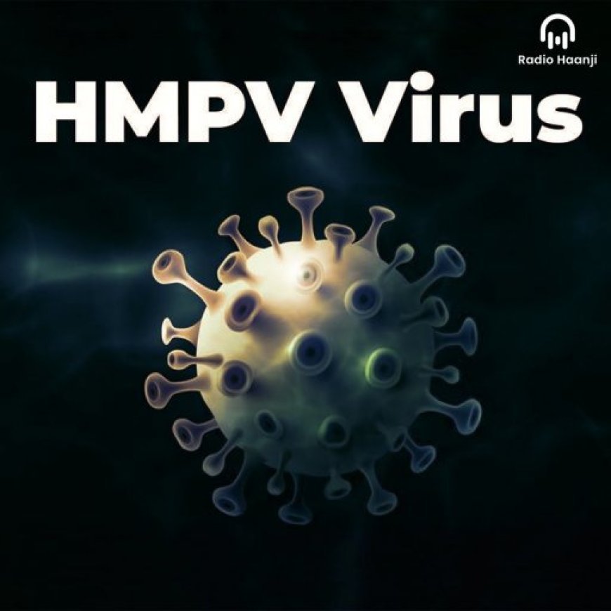 Recent Update on the HMPV Virus: Why It's Not Dangerous but Staying ...