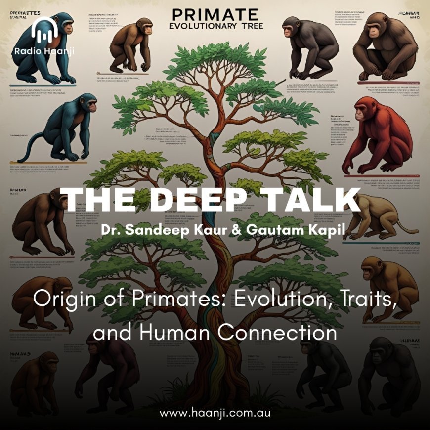 Origin of Primates: Evolution, Traits, and Human Connection - Radio ...