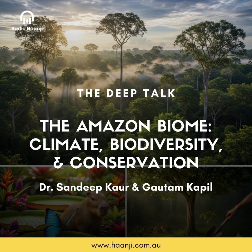 The Amazon Biome: Climate, Biodiversity, & Conservation - The Deep Talk ...